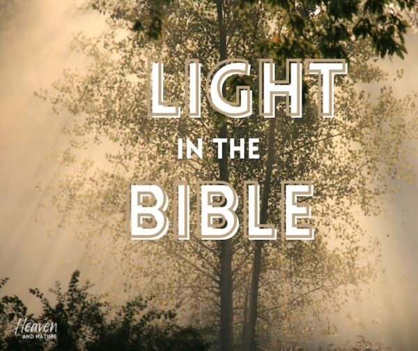 116 Verses in the Bible that Talk About Light